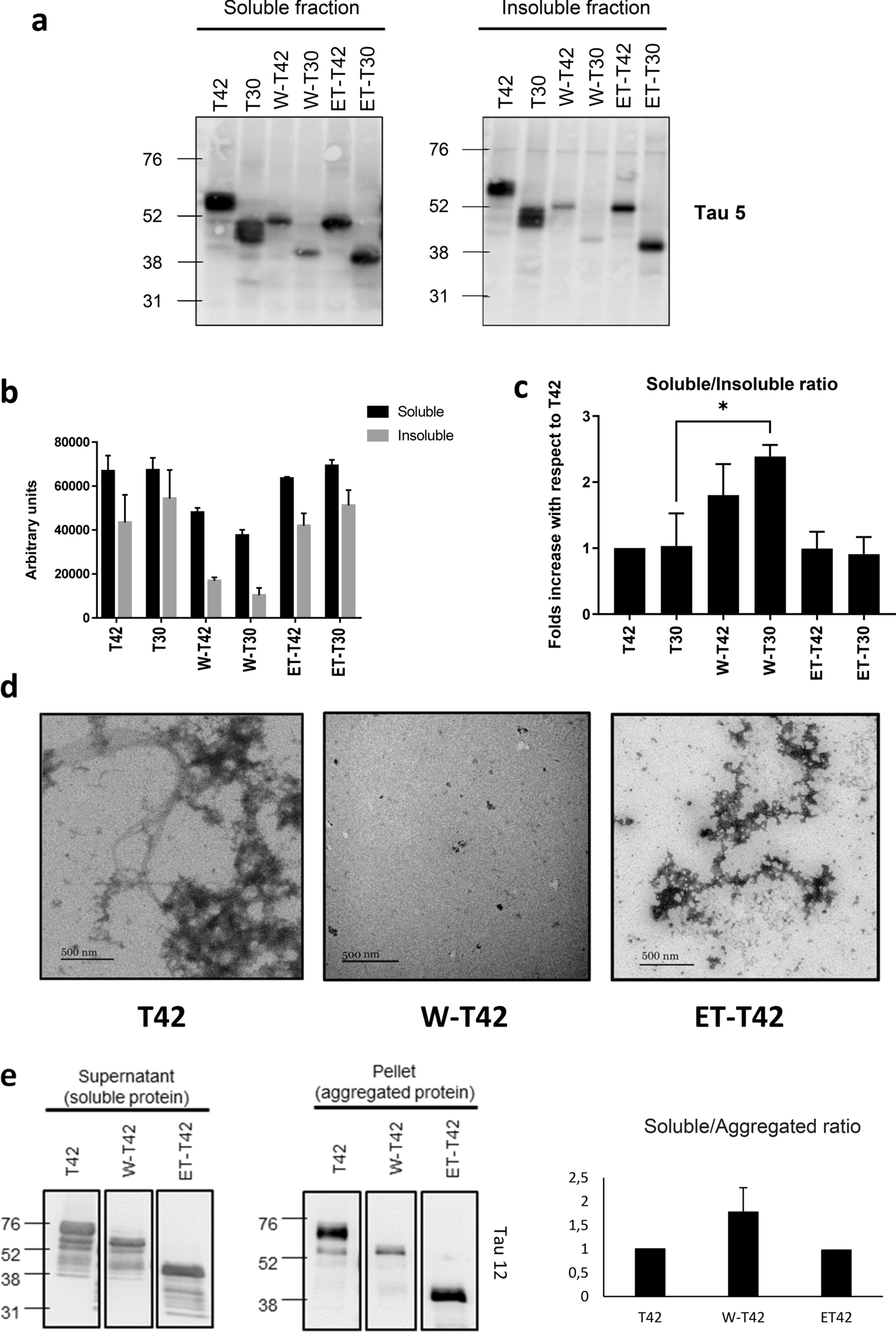 Tau function and dysfunction in Alzheimer disease - Centro de Biología ...