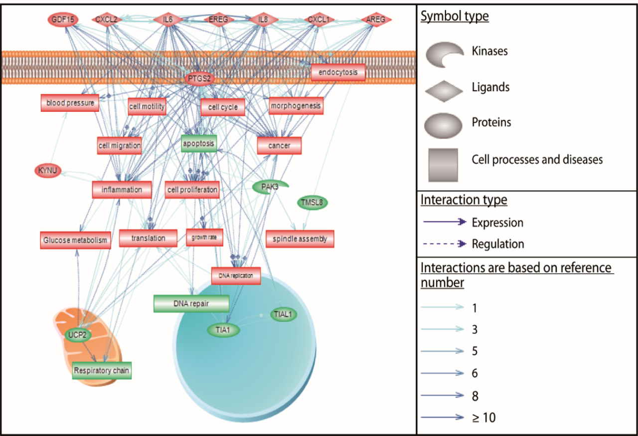 Molecular and cellular basis of the physio(patho)logy associated with ...