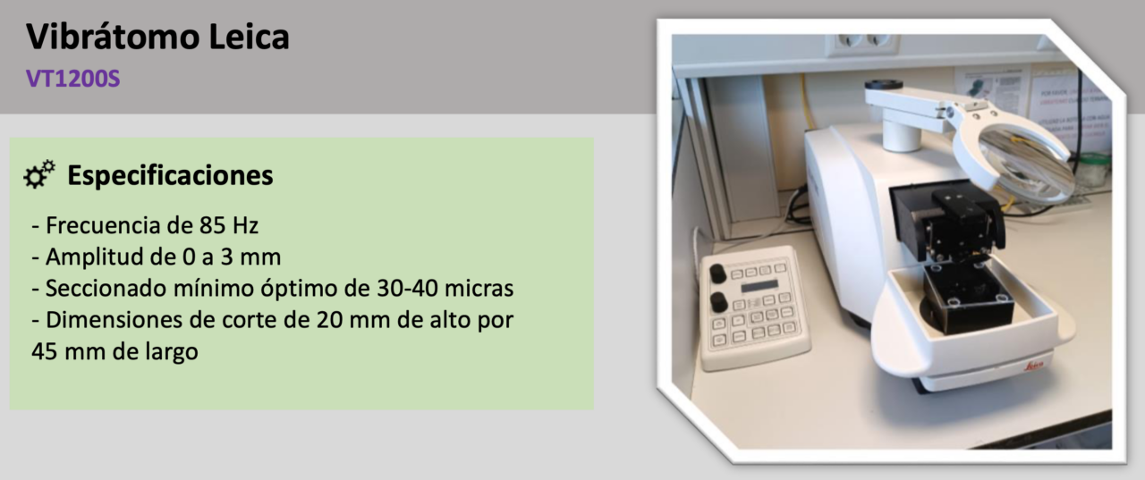 Advanced light microscopy - Centro de Biología Molecular Severo Ochoa