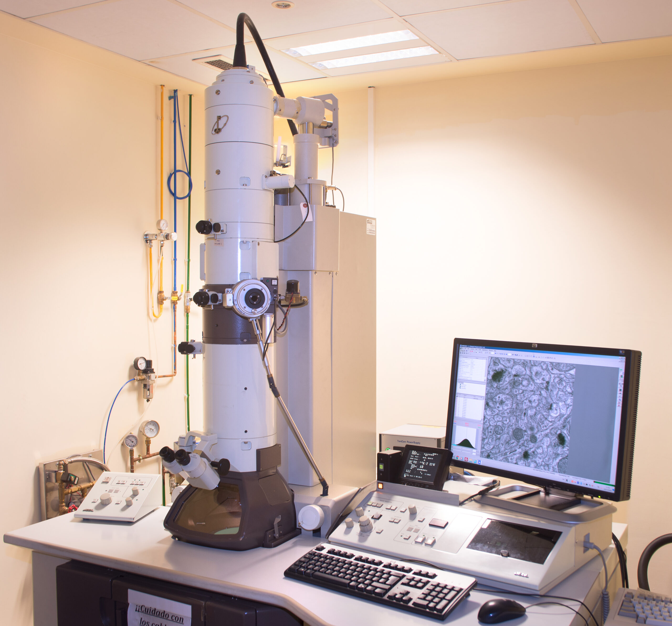 Electron microscopy - Centro de Biología Molecular Severo Ochoa